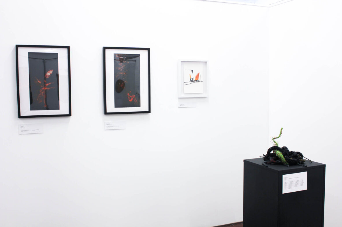 EMBER - Space Studio & Gallery